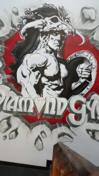 Tour - Diamond Gym - Maplewood, NJ